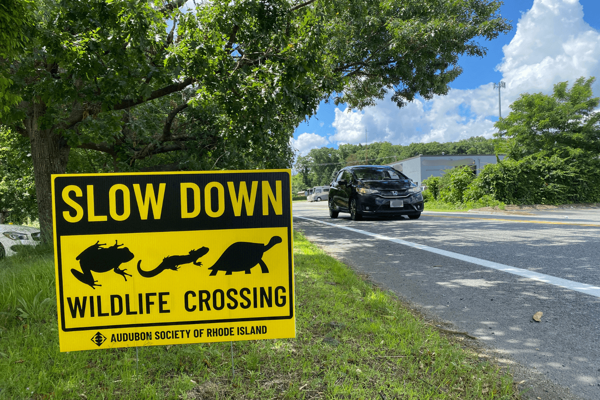 Purchase a Wildlife Crossing Sign : Wildlife Crossing : Audubon Society ...