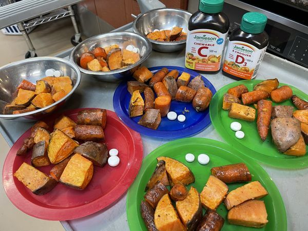 Adopt-a-Chimp Explained : EDUCATION, ADVOCACY & PROGRAMS : Blogs : News ...