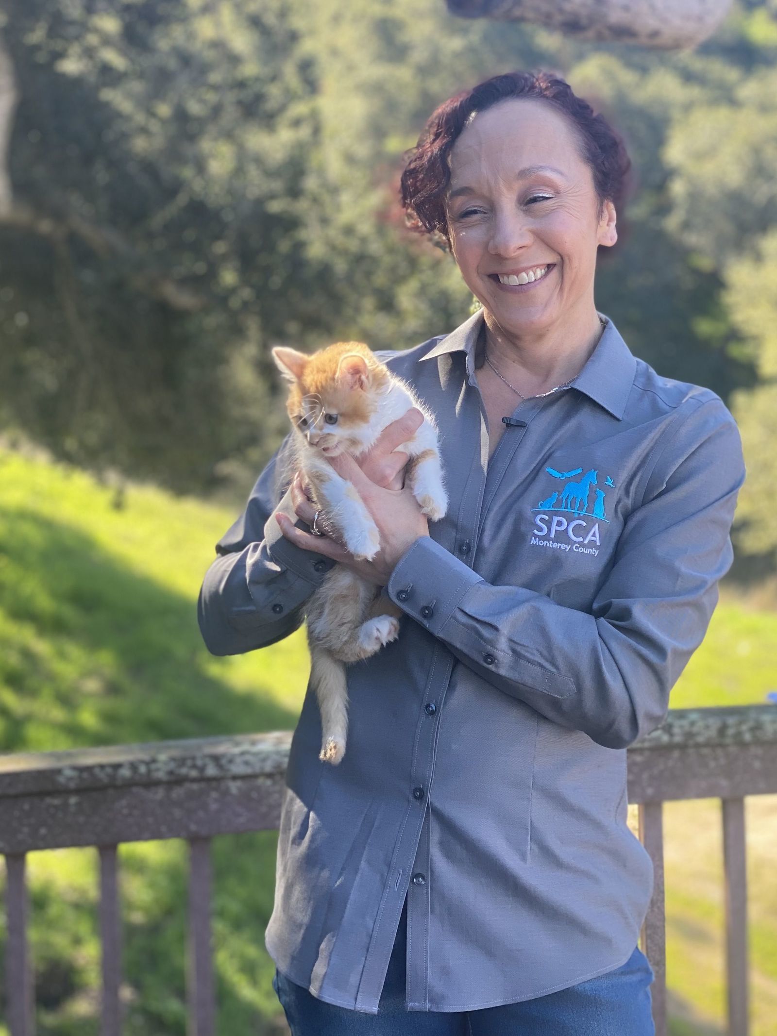 A Day of Giving SPCA Pet Telethon