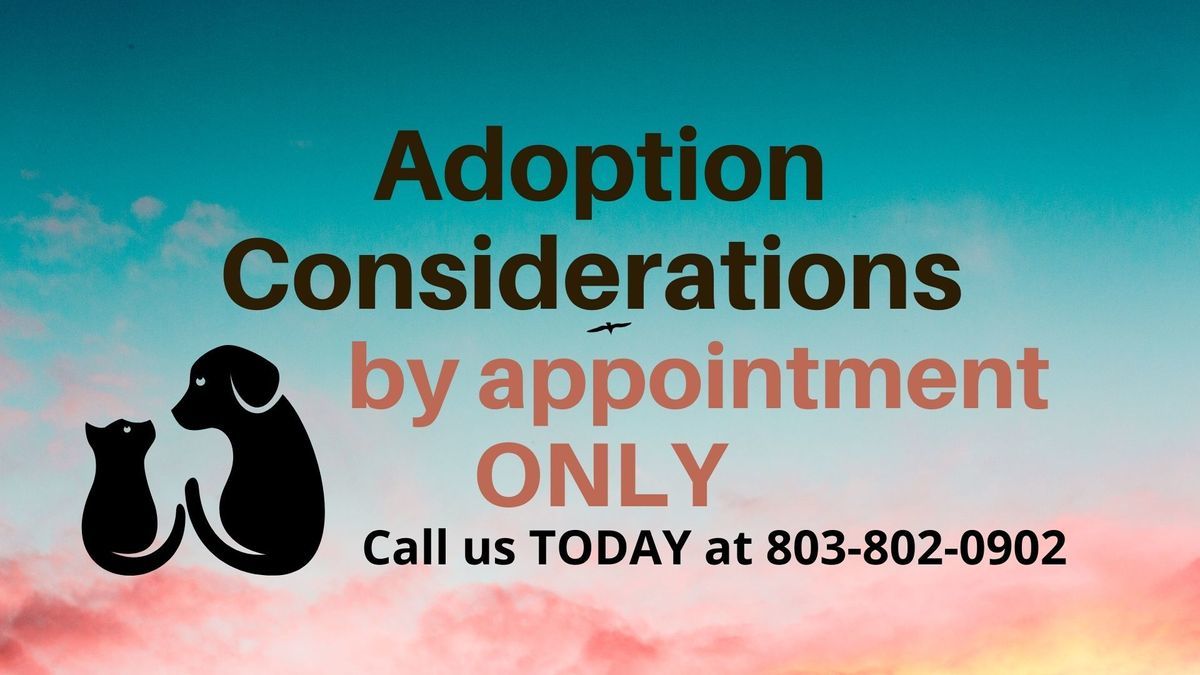 Home : Humane Society of York County