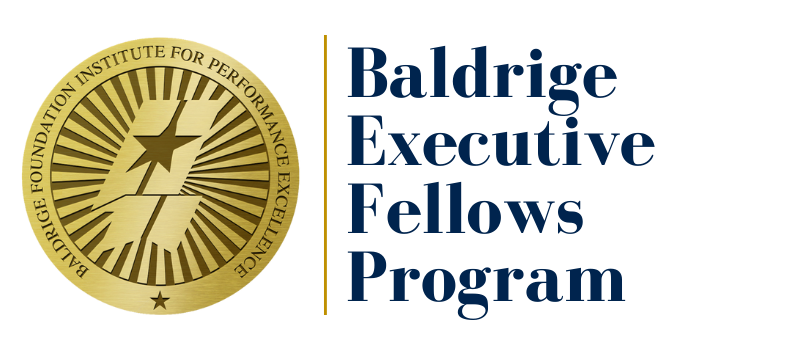 About Fellows Program