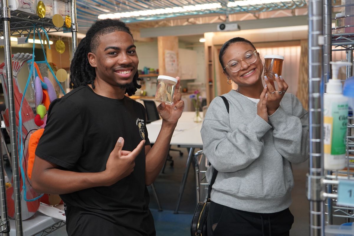 STEM Library Lab Membership : What We Do : Stem Library Lab