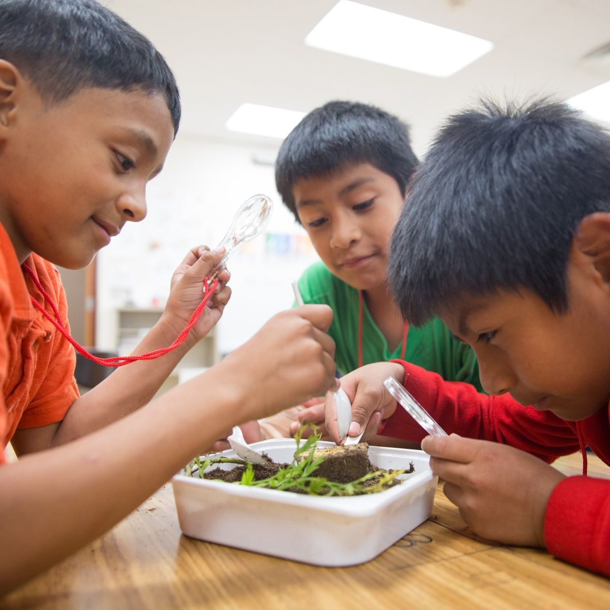 Environmental Education Programs for Classrooms & Groups | Keep Omaha ...