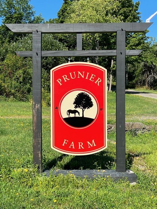 equestrian signs,horse farm signs, horse signs, equine signs, Carved ...