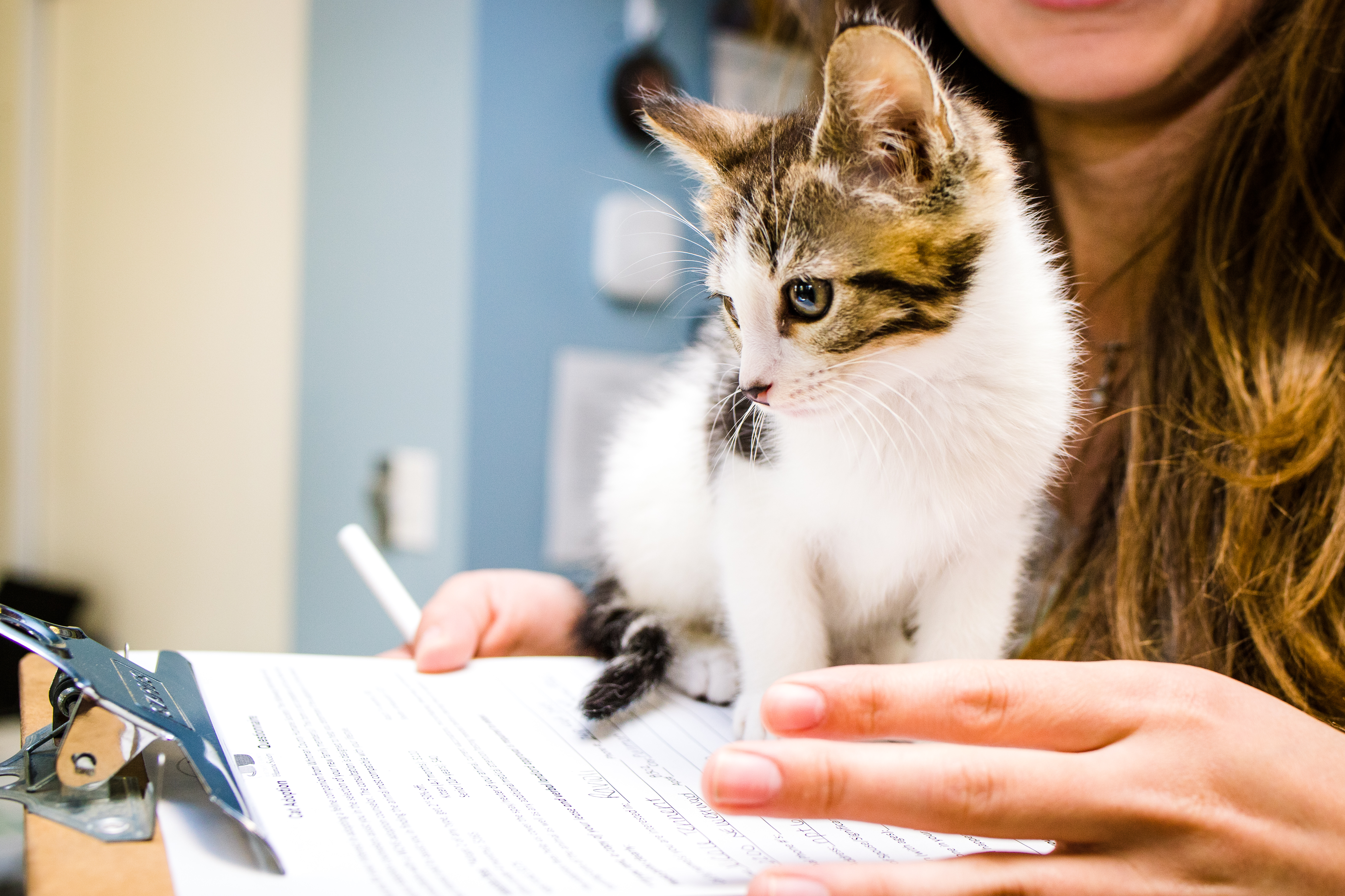 Whitman County Humane Society