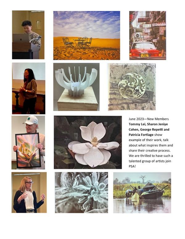 Recent PSA Events - images