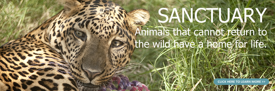 Southwest Wildlife Conservation Center | Wild Animal Rescue | Scottsdale