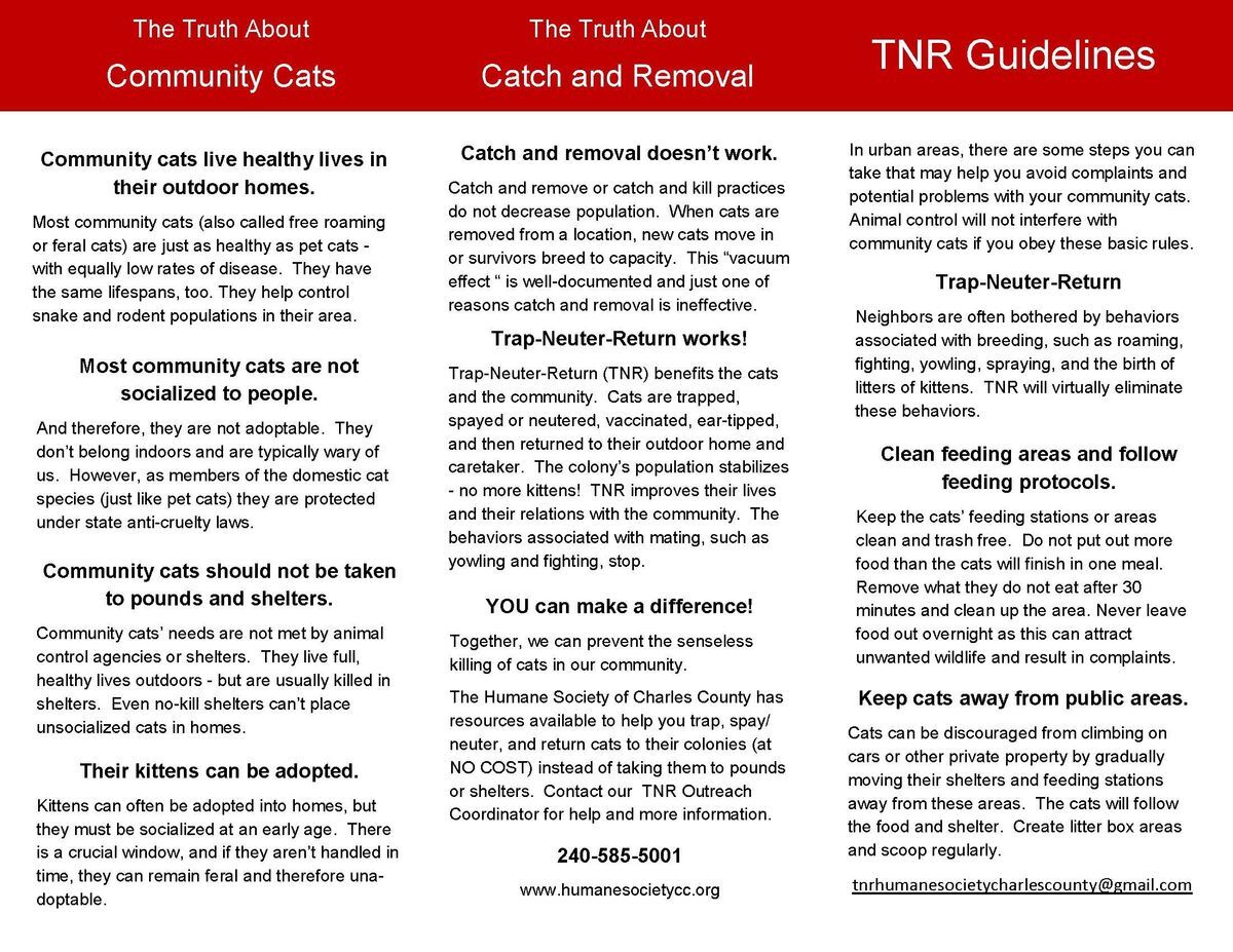 Grant Funding to pay for TNR program