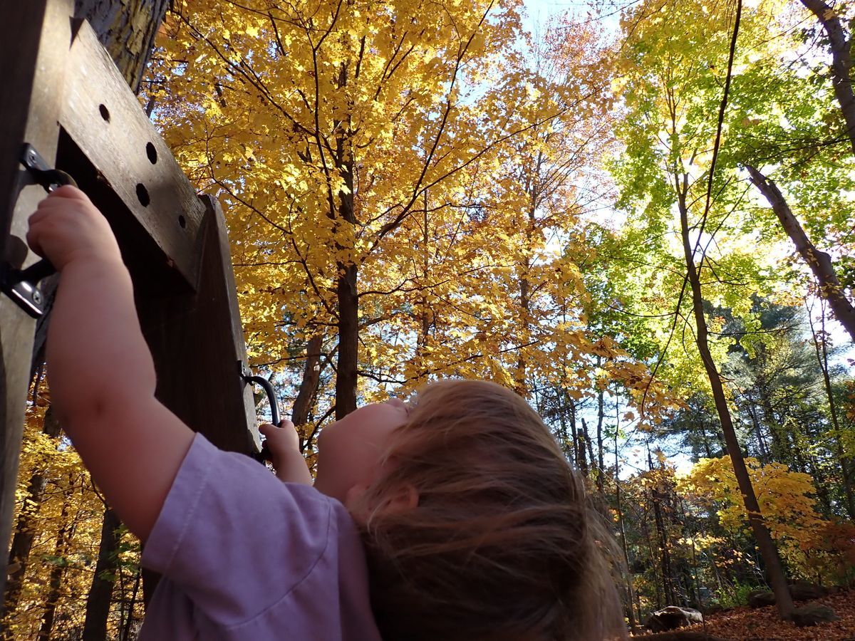 ITC Early Childhood Educator Workshop Series : About : Infant Toddler ...