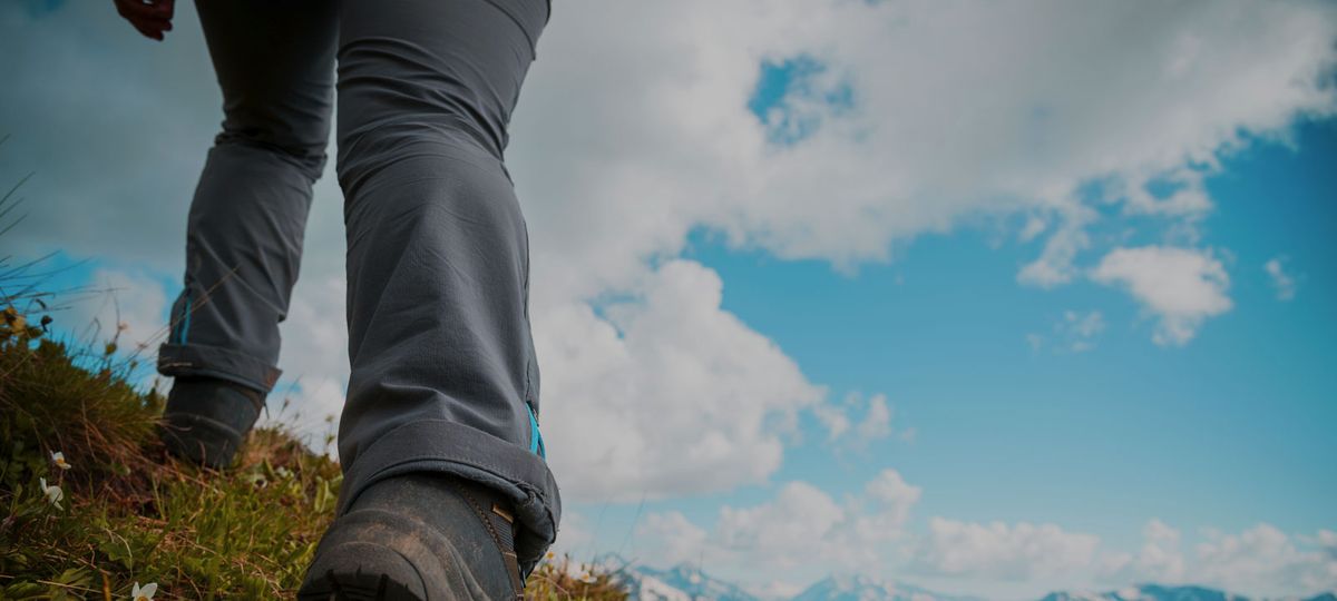 Home : Pacific Rim Institute for Environmental Stewardship