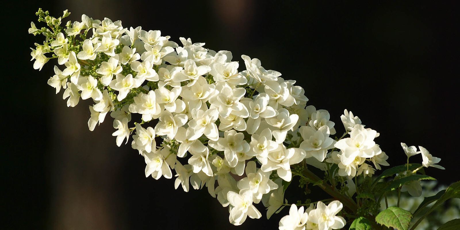 Aldridge Gardens | Nature & Art | Hoover, Alabama