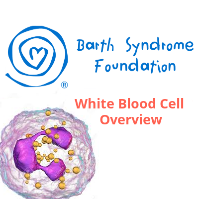 FACT sheets about Barth syndrome