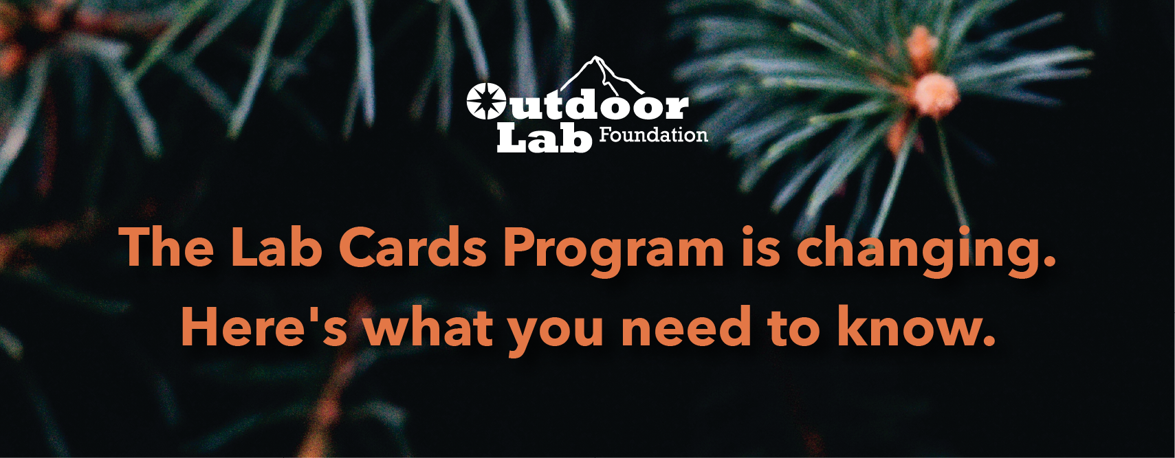 Outdoor Lab Foundation : Home