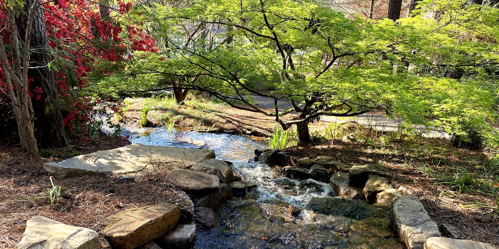 Aldridge Gardens | Nature & Art | Hoover, Alabama