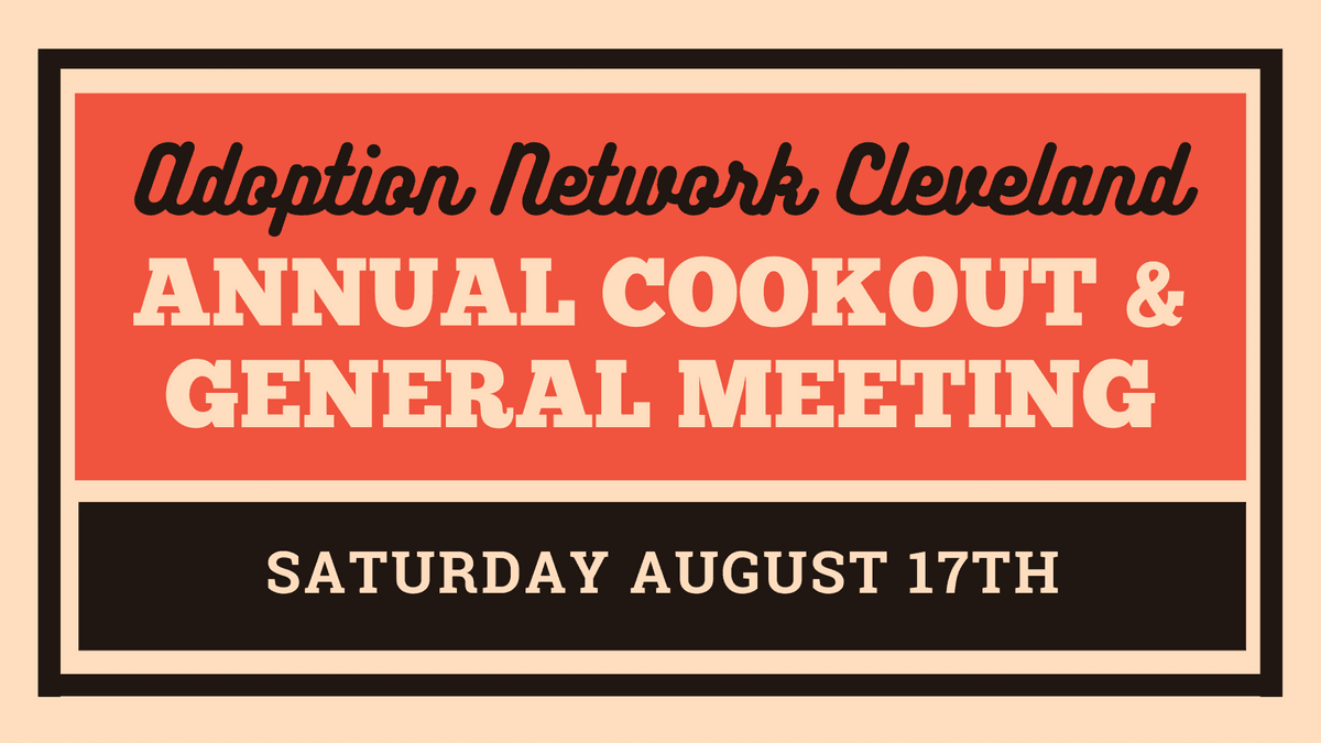 Providing advocacy and support for those impacted by adoption.