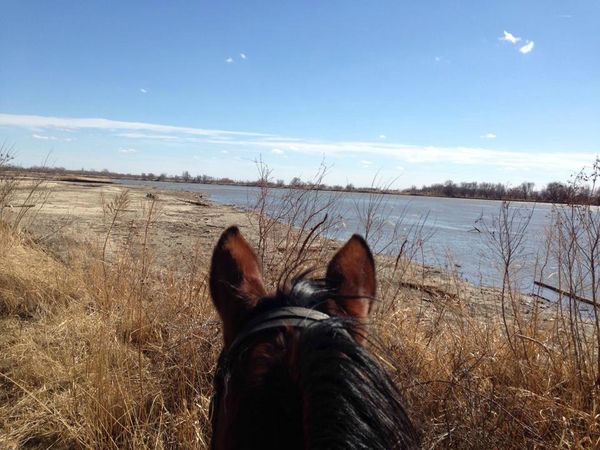 The Nebraska Horse Trails Committee, Inc. : Home