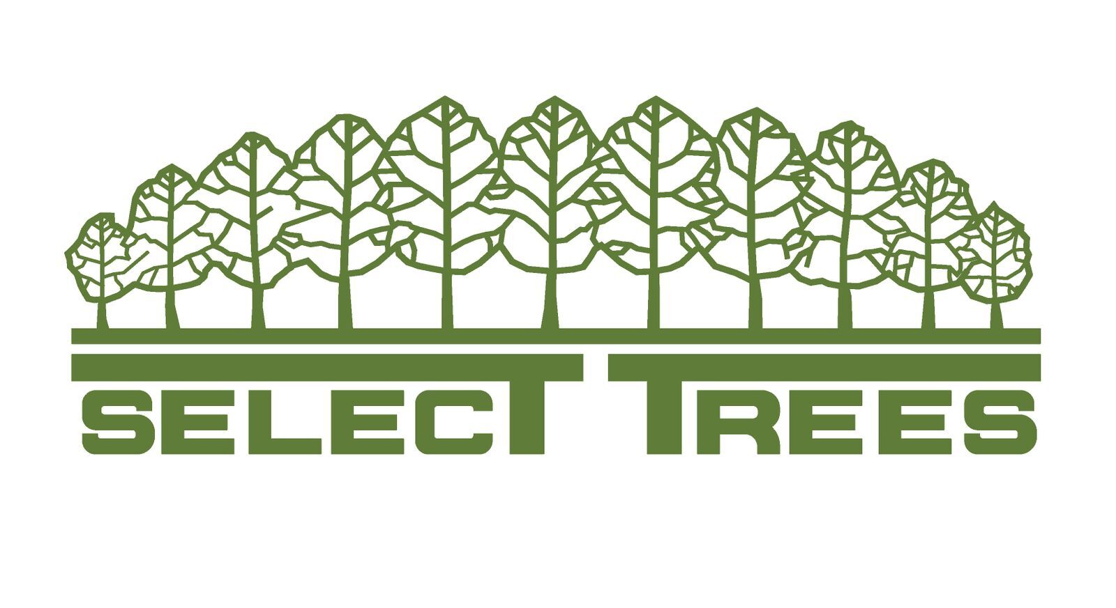 Home : Georgia Tree Council