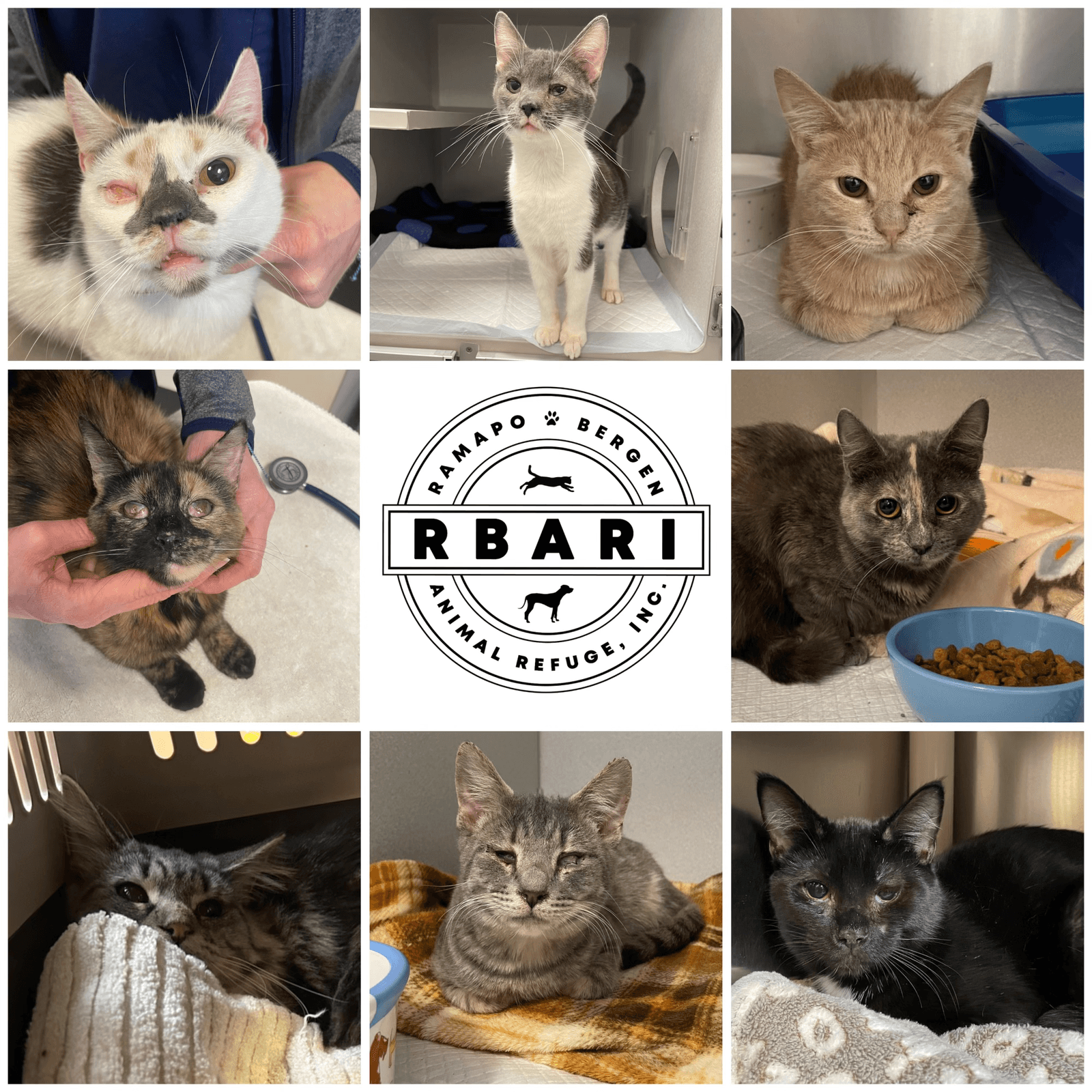 Ramapo-Bergen Animal Refuge