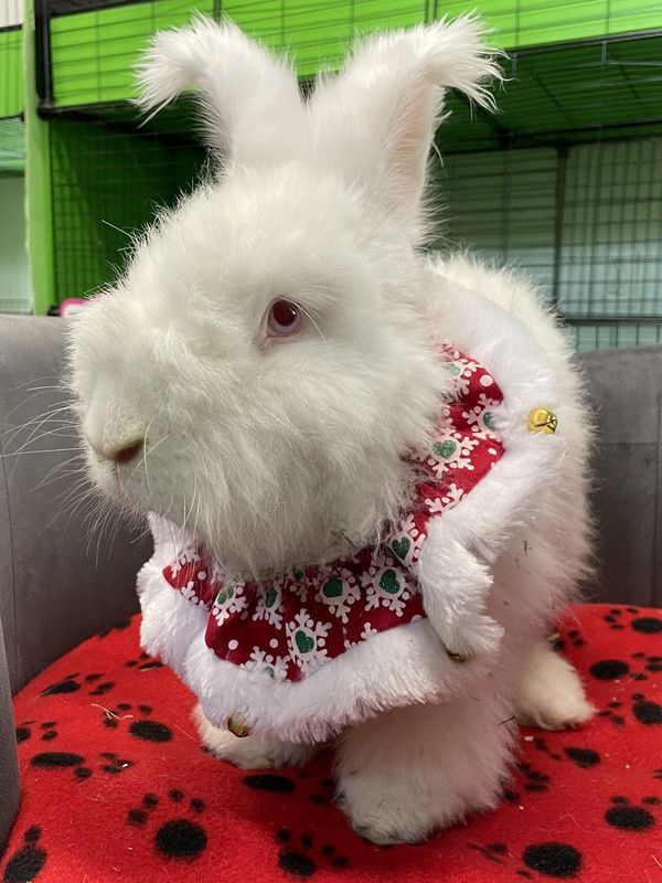 Ramapo-Bergen Animal Refuge