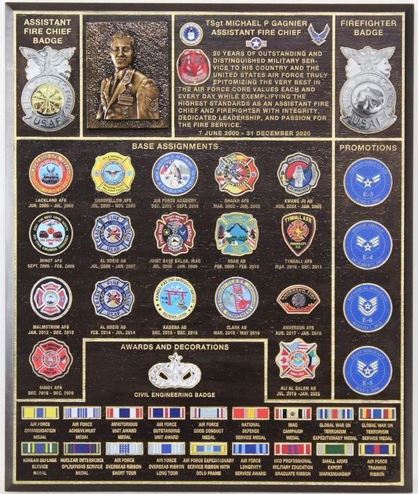 3D Painted, Wood, Bronze, Brass, Silver Air Force Plaques