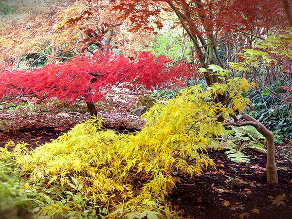Aldridge Gardens | Nature & Art | Hoover, Alabama