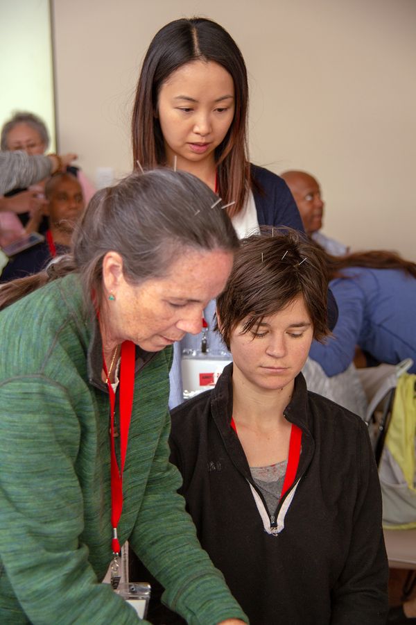 Neuro-Acupuncture Institute, Comprehensive Training in Neuroacupuncture ...