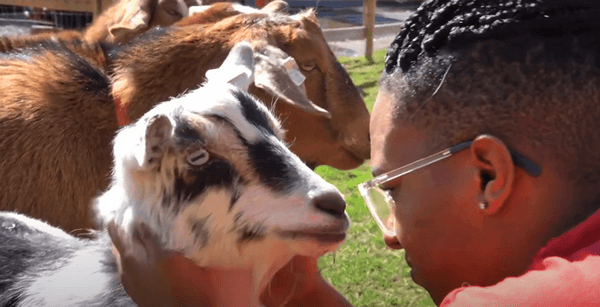 Dr. Sarah Ruback Named St. Christopher’s New CEO : NEWS : NEWS : St ...