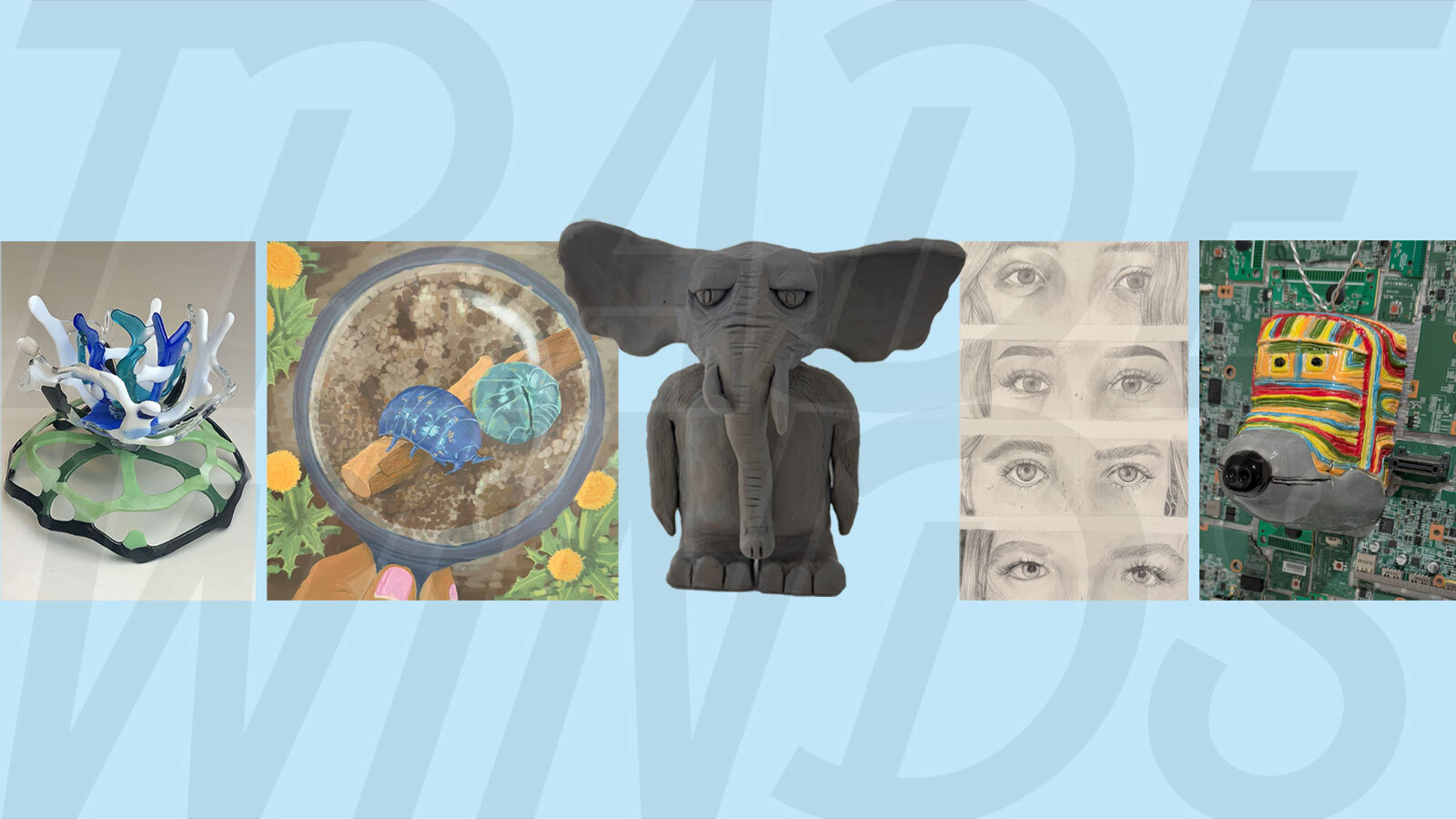 Tradewinds Exhibit 2025 at OMAM