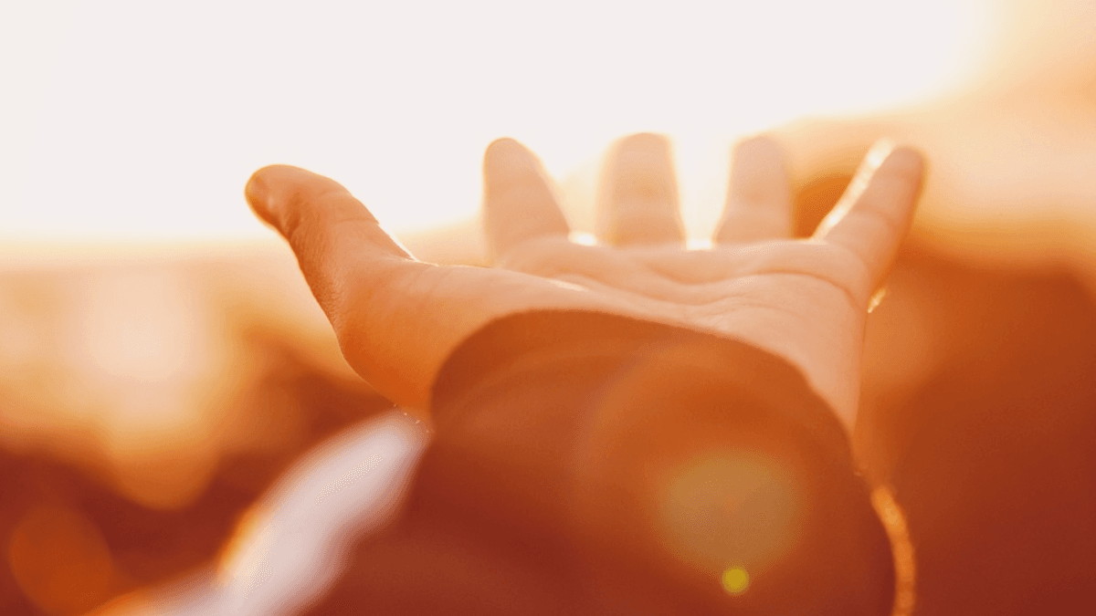 Home : Harvest Aviation
