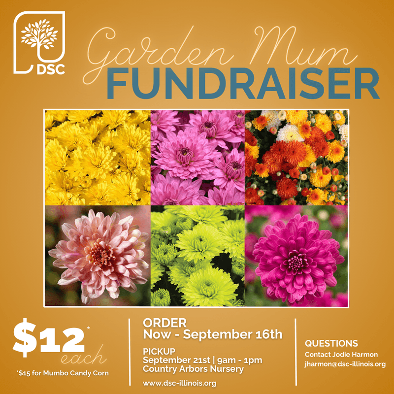 Developmental Services Center