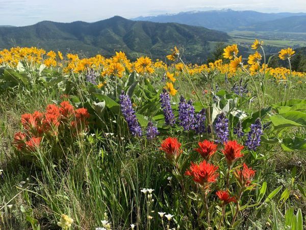 About Ecology & Extension : Who We Are : Missoula County Department of ...