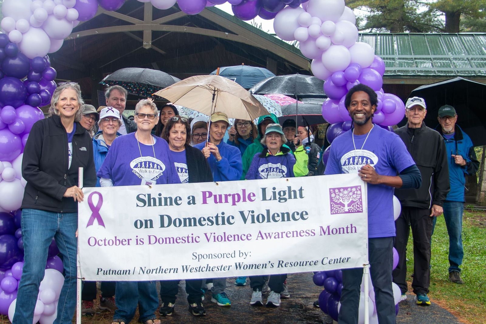 Walk to End Domestic Violence : How To Help : Putnam/Northern ...
