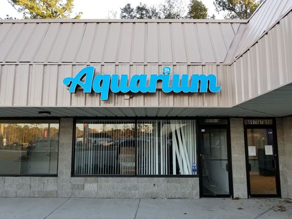 Taylor Sign & Design: Channel Letters Raceway Mounted Gallery