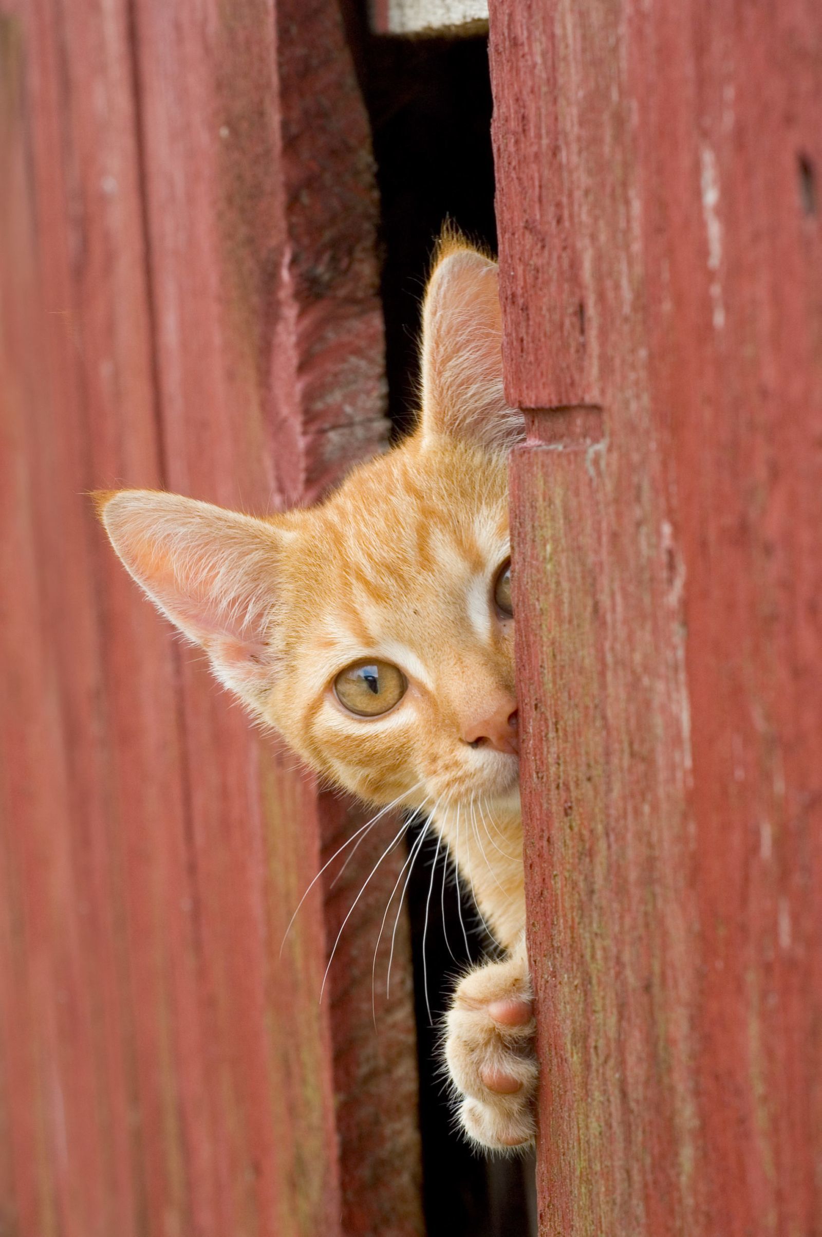 Tri-County Humane Society