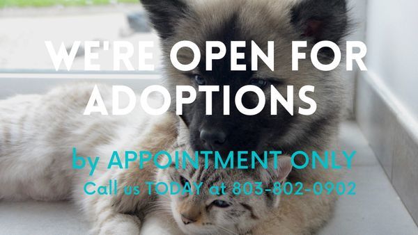 Humane Society of York County : Home