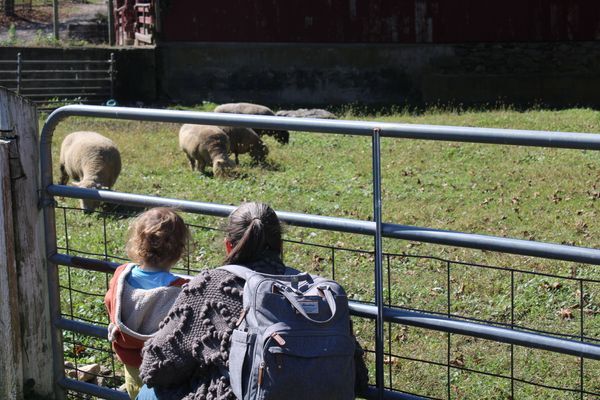 General Information : Visit Us : Muscoot Farm