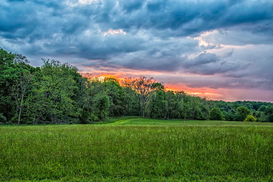 Morven Park | Davis mansion, equestrian center, athletic fields