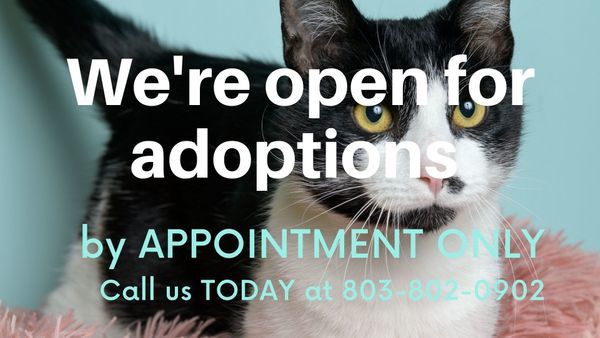 Humane Society of York County : Home