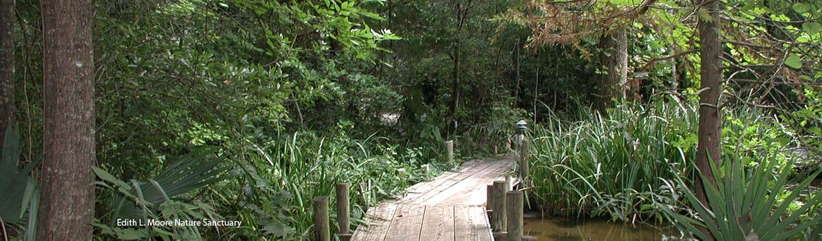 Edith Moore Tours | Programs | Houston Audubon