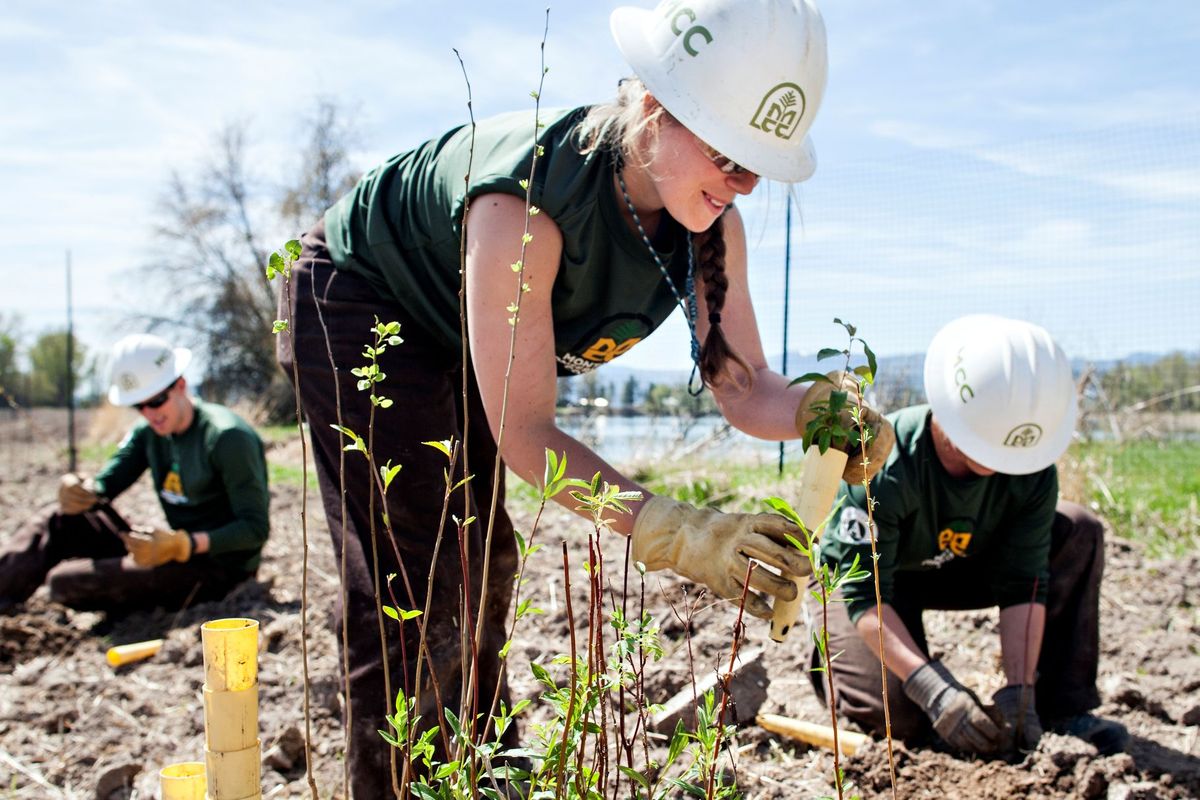 Host an MCC Crew | Crew Costs | Partner | Montana Conservation Corps