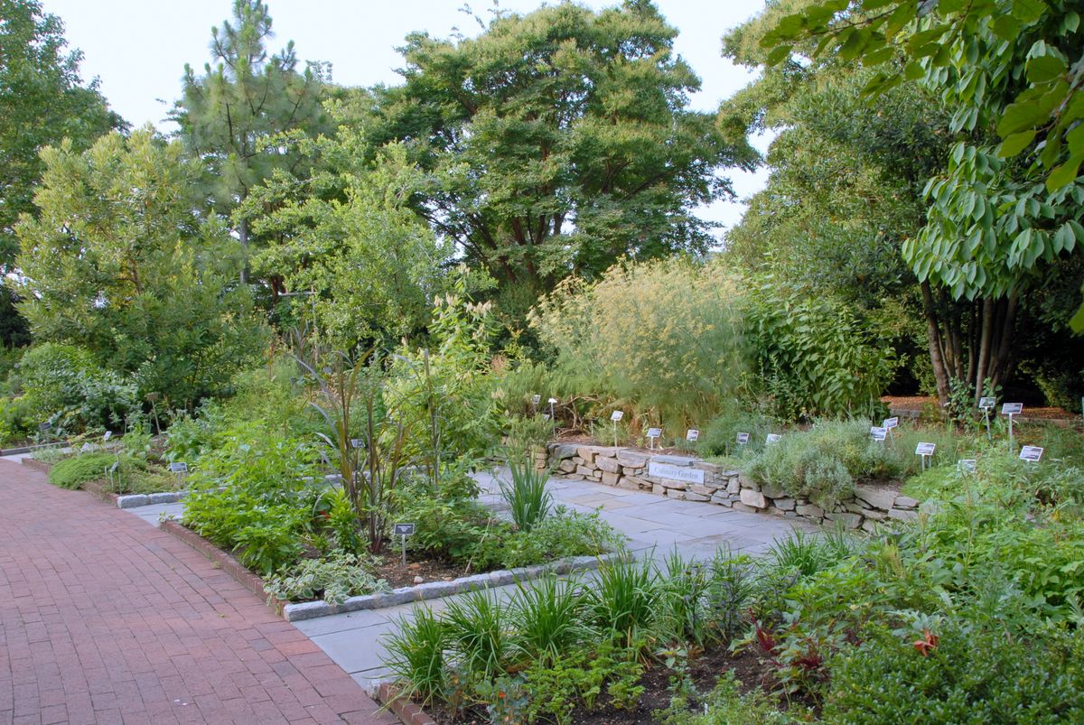 Garden Gallery of Herb Society of America