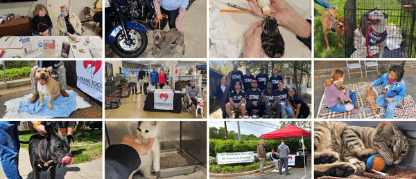 Home [humanesocietycc.org]