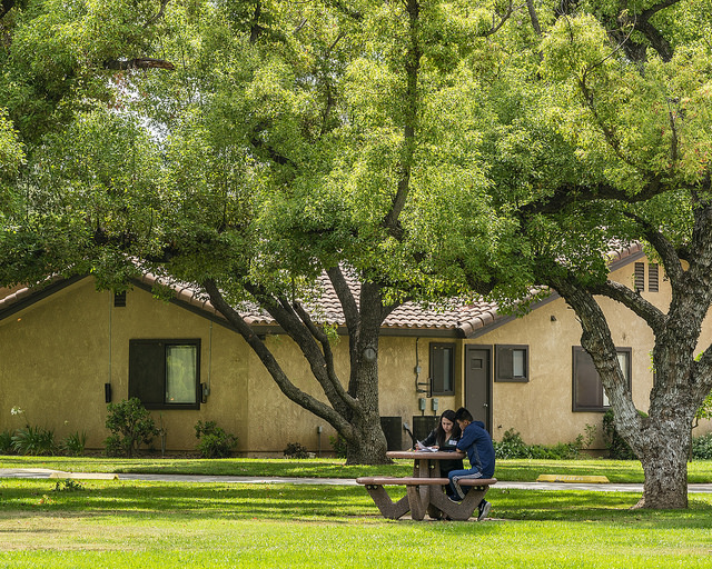 Long-Term Foster Care at David & Margaret