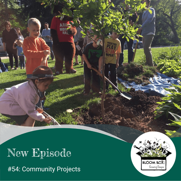 Behind the Scenes of Public Planting Projects : PlantNebraska