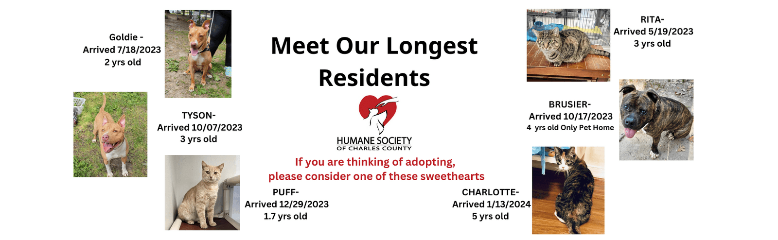 Home [humanesocietycc.org]