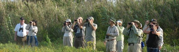 Quickstart Guide to Birding | Houston Audubon