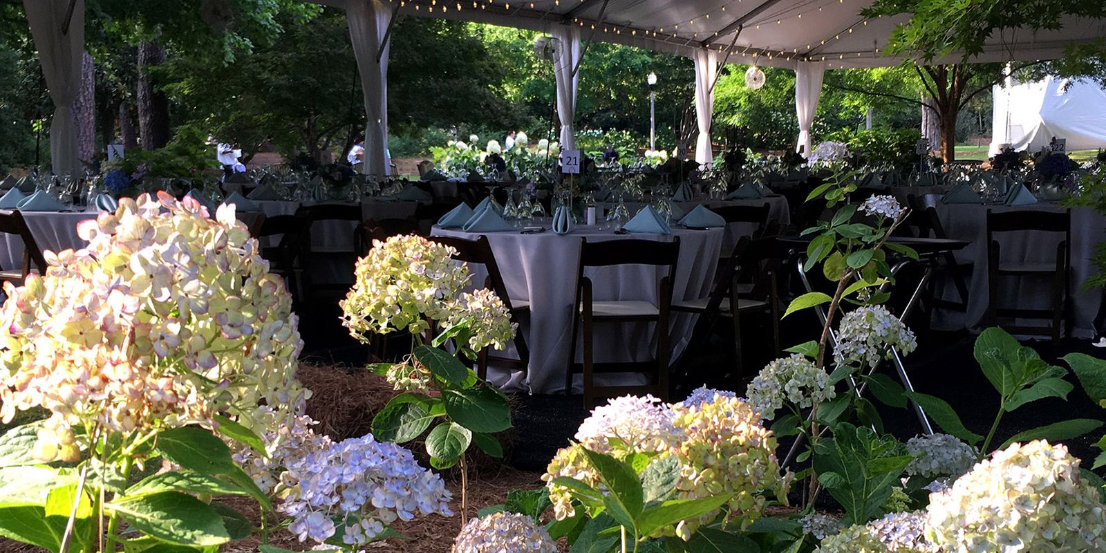 Aldridge Gardens | Nature & Art | Hoover, Alabama