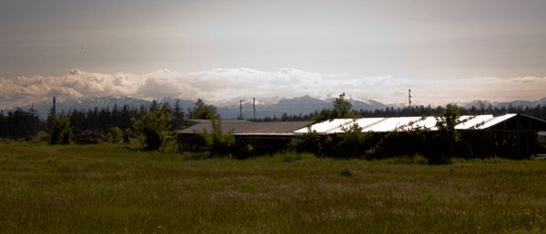 Home : Pacific Rim Institute for Environmental Stewardship