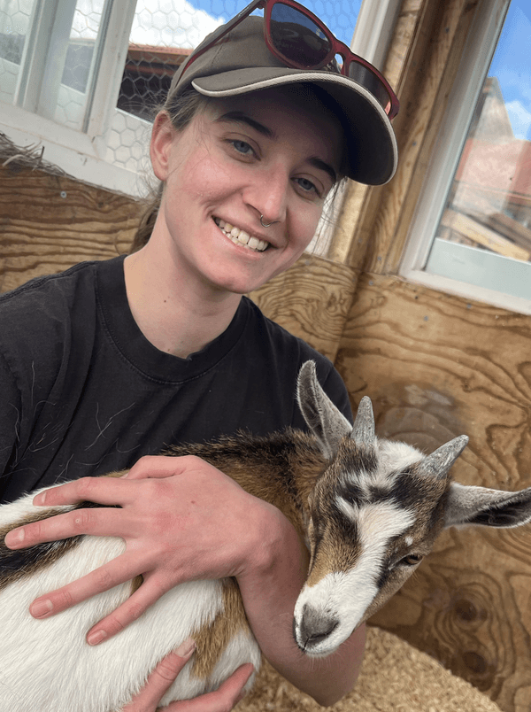 Home : Zoology Foundation