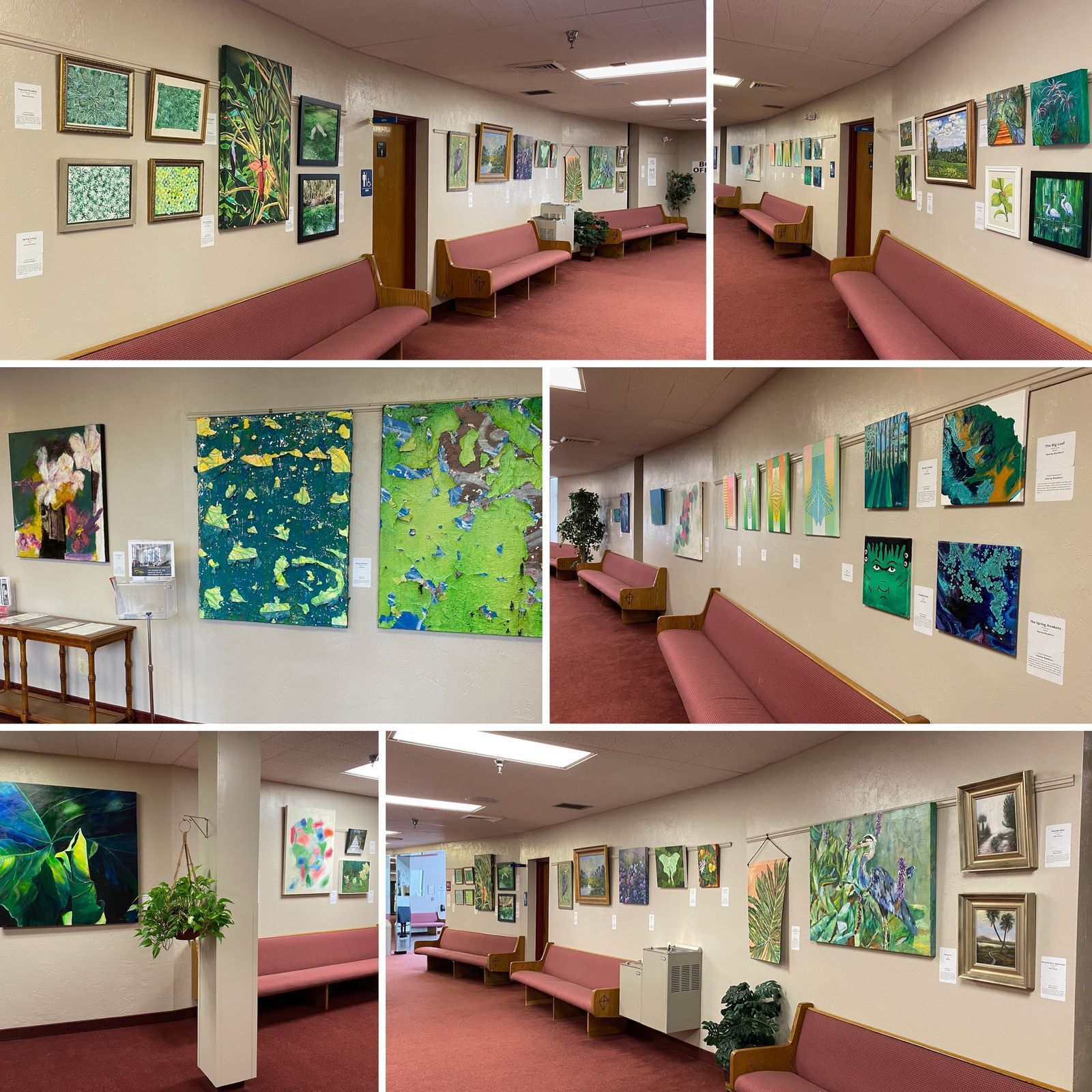 OMAM Pop-Up Exhibits